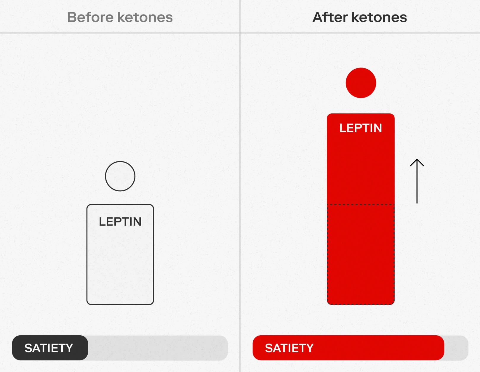 The Science of Ketones – Ketone-IQ®