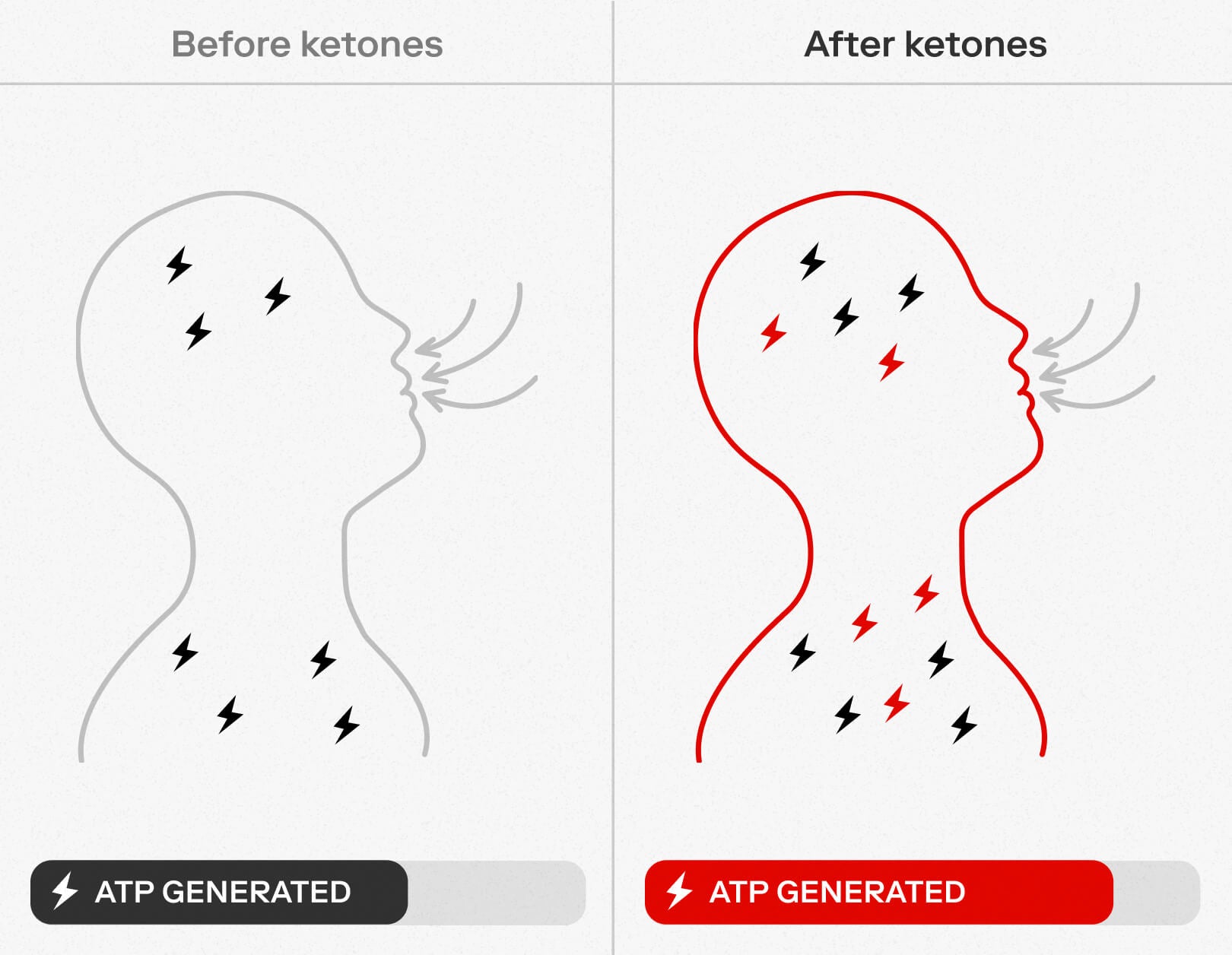 The Science of Ketones – Ketone-IQ®