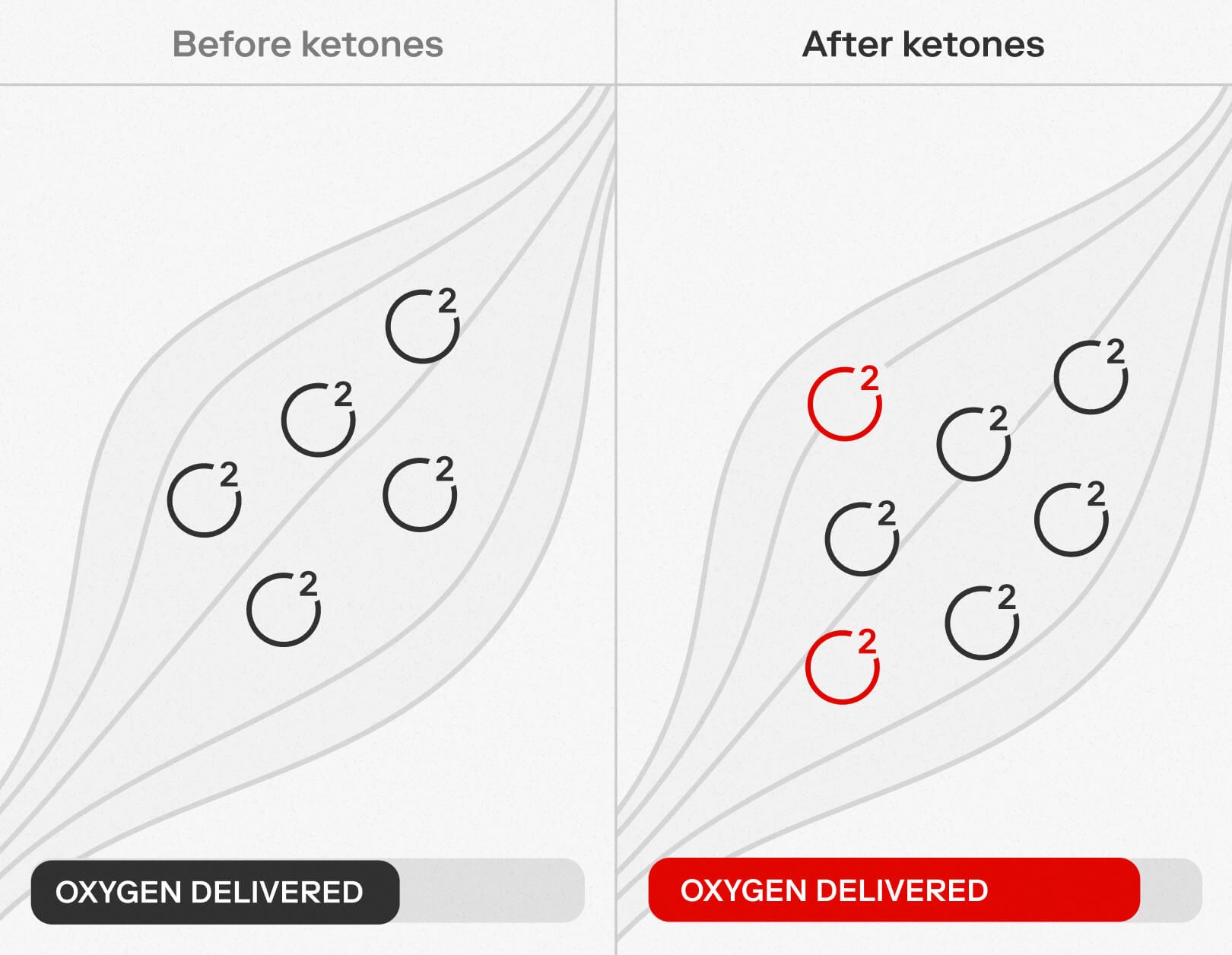 The Science of Ketones – Ketone-IQ®