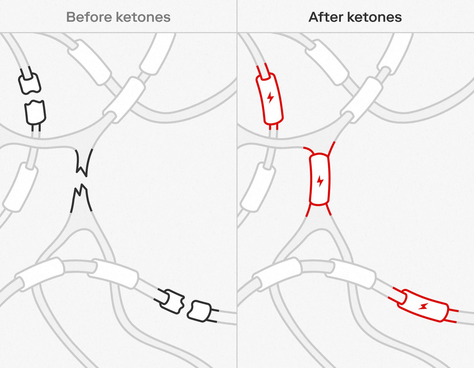 The Science of Ketones – Ketone-IQ®